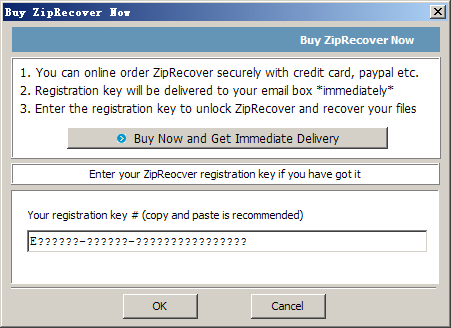 ZipRecover - Guide to Complete the Registration